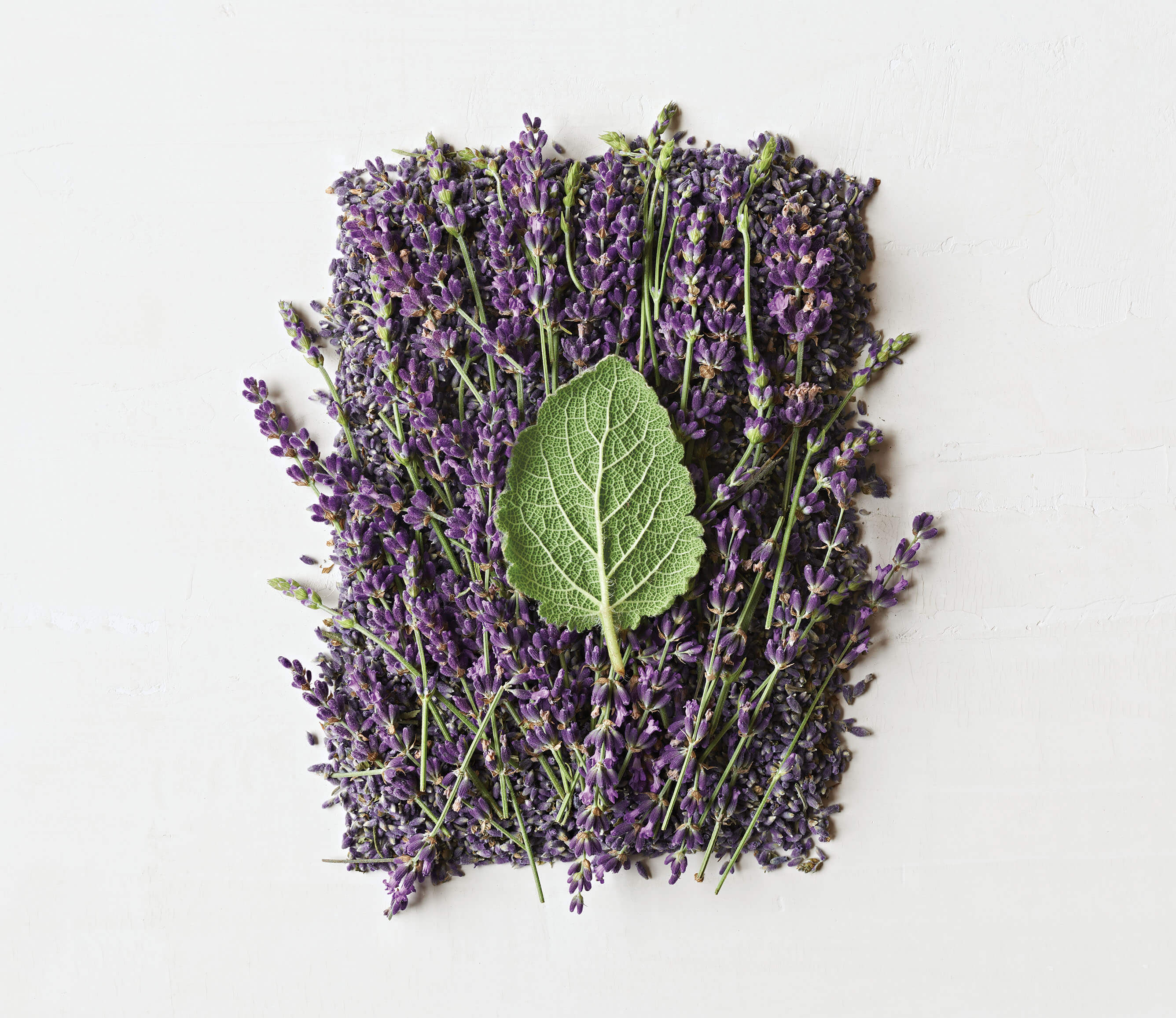 BACKGROUND_TEAM_v2_forWeb - Armstrong Cuthbert